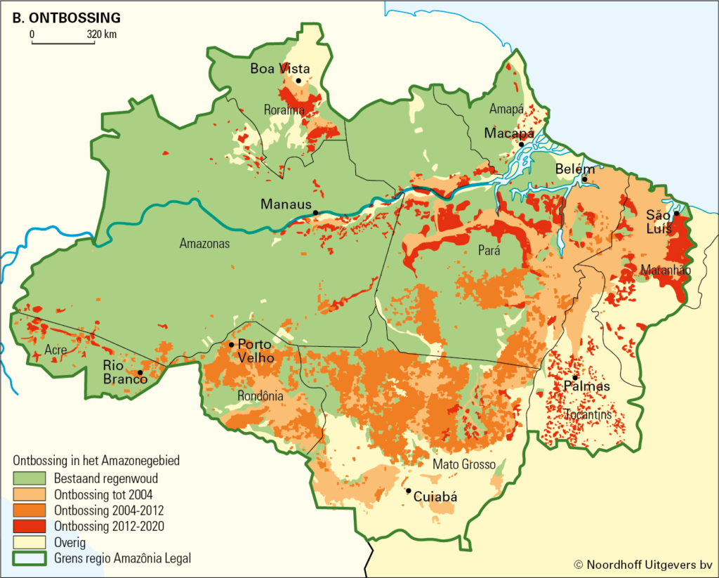 ‘De Amazone is van Brazilië, niet van jullie’ - NU Actueel